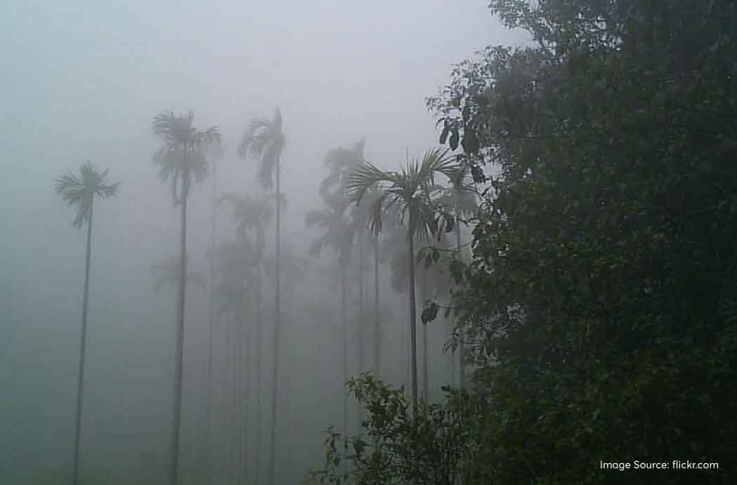 Agumbe Village: The Rainiest South Indian Gem That Inspired The Malgudi ...