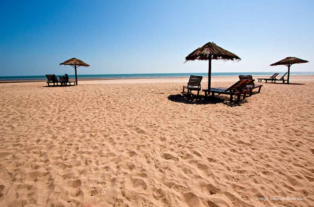 11 Places to Visit in Mandvi: Beachy Treasures to Opulent Experiences