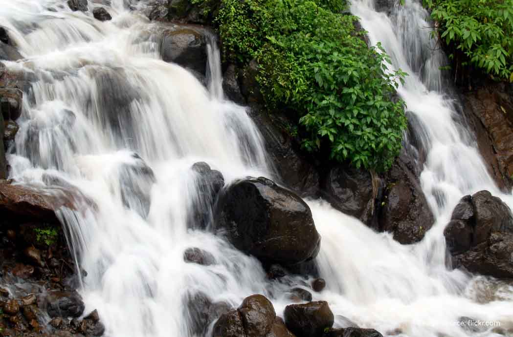 Waterfalls in Maharashtra: 30 Cascading Beauties Worth a Watch