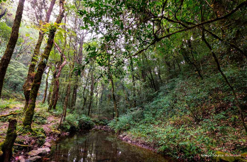 Kongthong Village: The Rustic Town Where Every Name is a Song