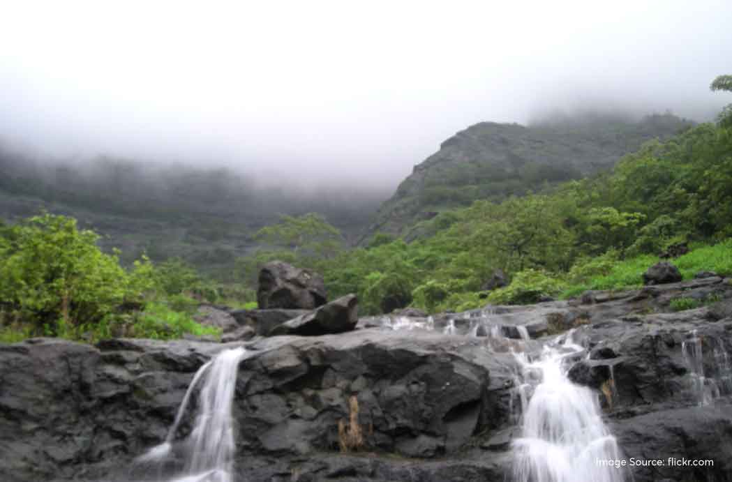 Waterfalls in Maharashtra: 30 Cascading Beauties Worth a Watch
