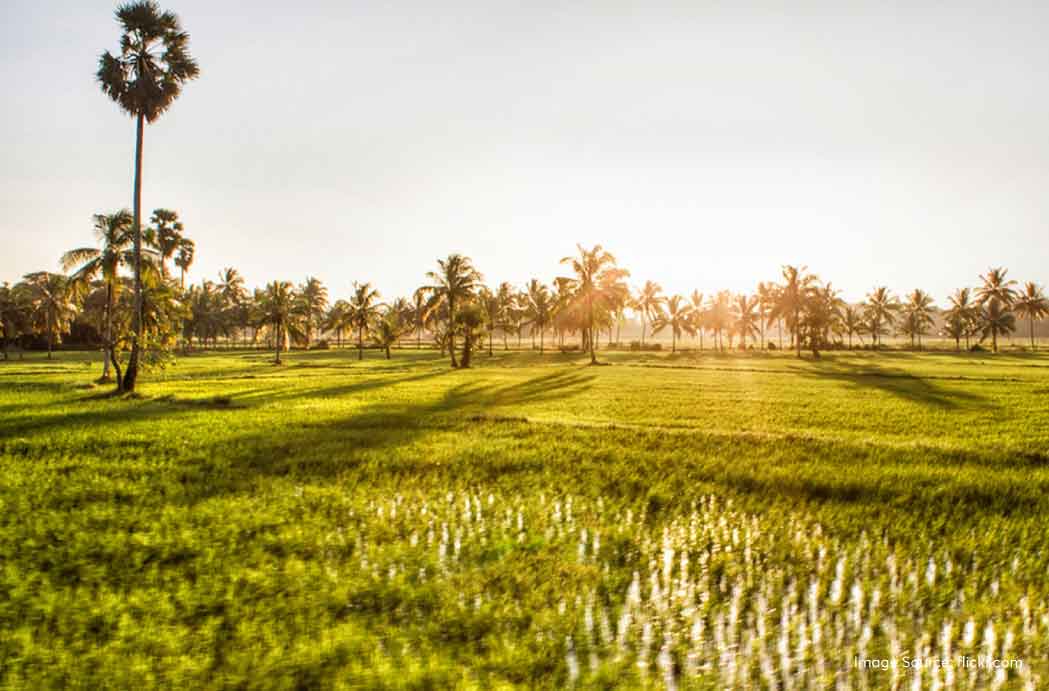 Mankulam: A Quiet Corner In Idukki's Serene Landscape!