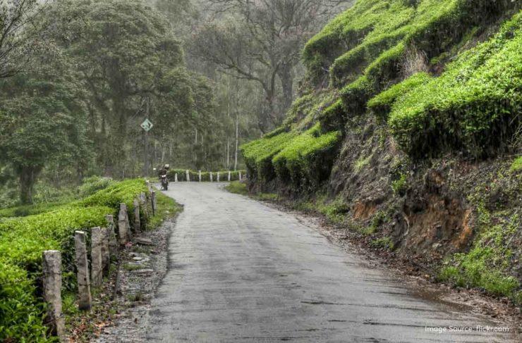 Mankulam: A Quiet Corner In Idukki's Serene Landscape!