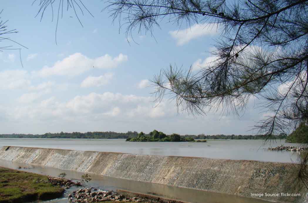 Mankulam: A Quiet Corner In Idukki's Serene Landscape!