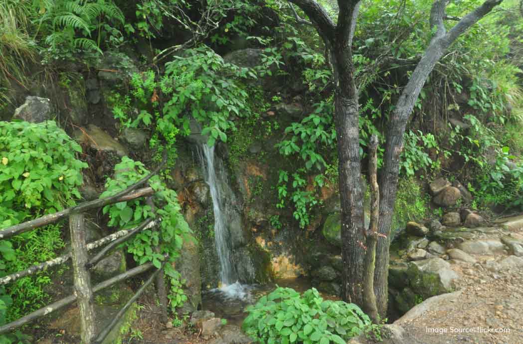 Mankulam: A Quiet Corner In Idukki's Serene Landscape!