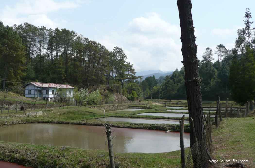 Ziro Valley, Arunachal Pradesh: A Happy Hamlet Away from the Chaos