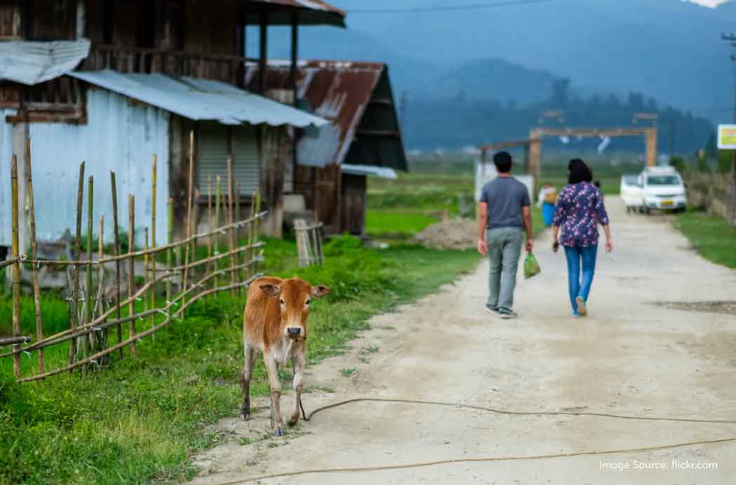 Ziro Valley, Arunachal Pradesh: A Happy Hamlet Away from the Chaos