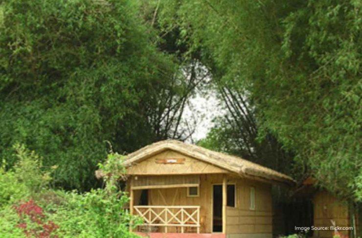 Periyar National Park: Discovering Kerala’s Wild and Protected Heritage