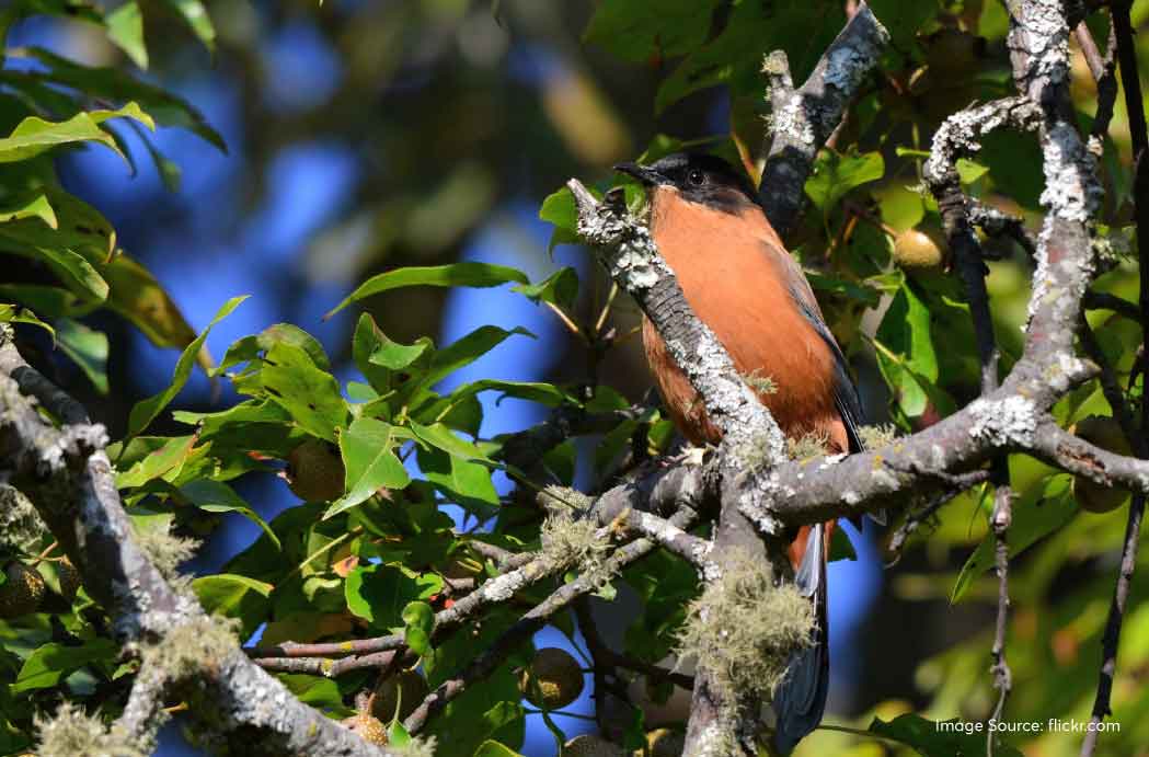 Villages in Uttarakhand: Picturesque Destinations for a Secluded Getaway