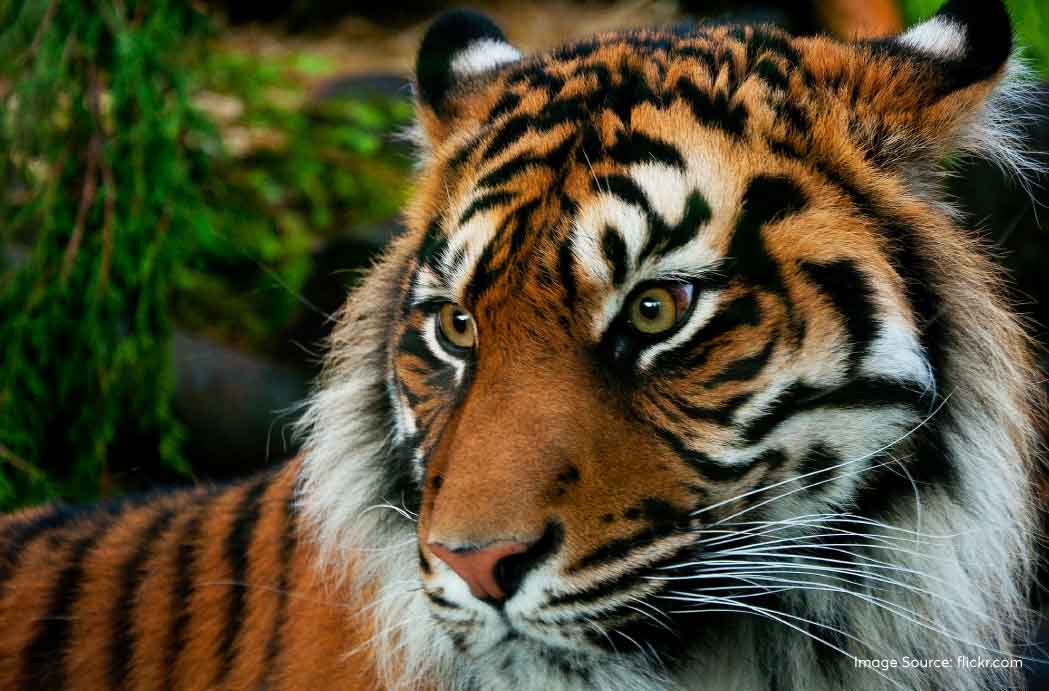 Mayong Village: Reality of the Black Magic Capital of India