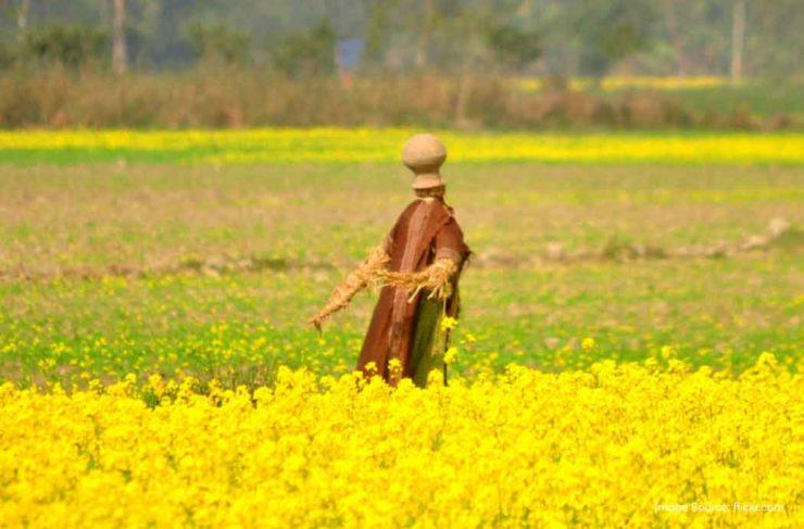 Mayong Village: Reality of the Black Magic Capital of India