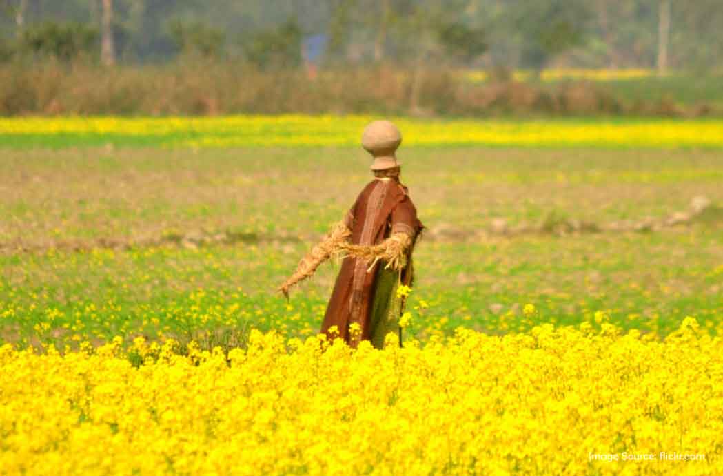 Mayong Village: Reality of the Black Magic Capital of India