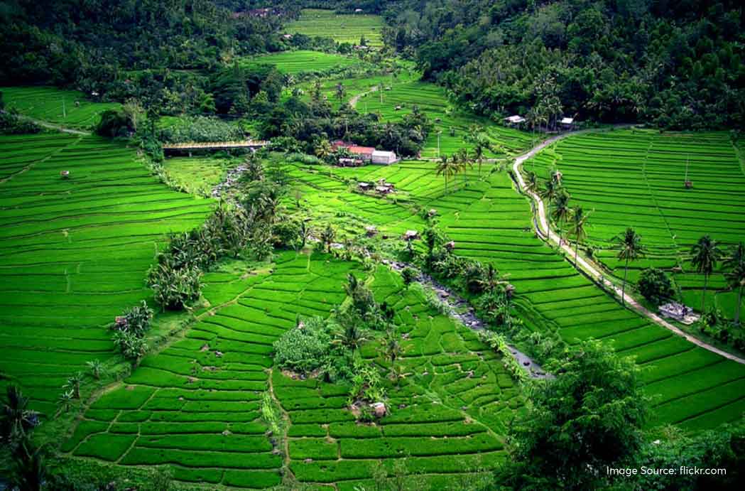 Mayong Village: Reality of the Black Magic Capital of India