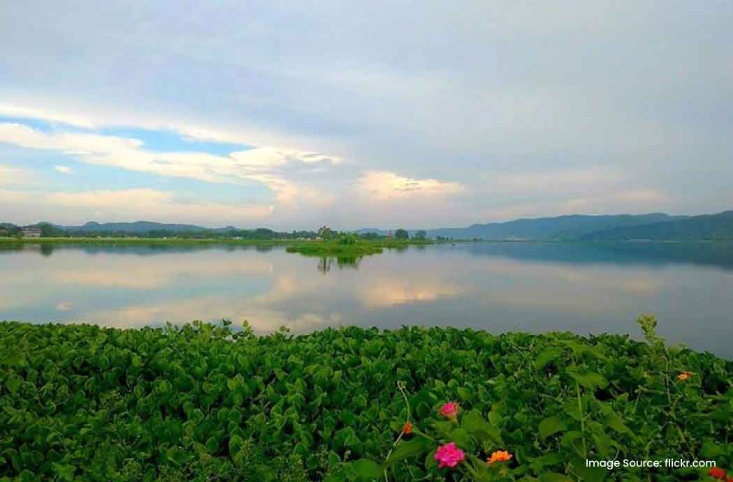 Places to Visit in Assam: Tea Gardens, Wildlife, Islands and Cultural ...