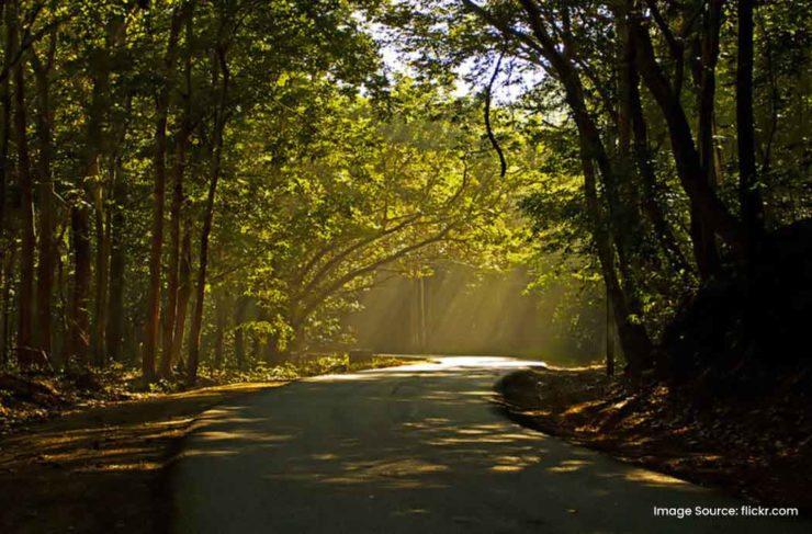 20 Places to Visit in Andhra Pradesh: Explore the Enchanting Side of ...