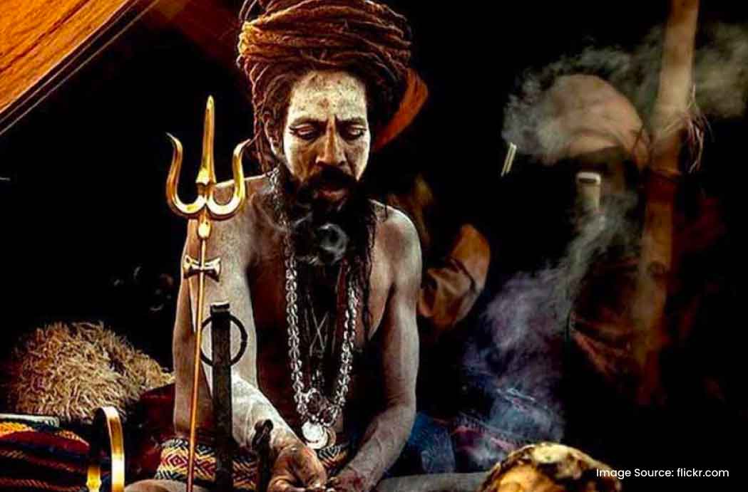 Places to Visit in Assam: Tea Gardens, Wildlife, Islands and Cultural ...