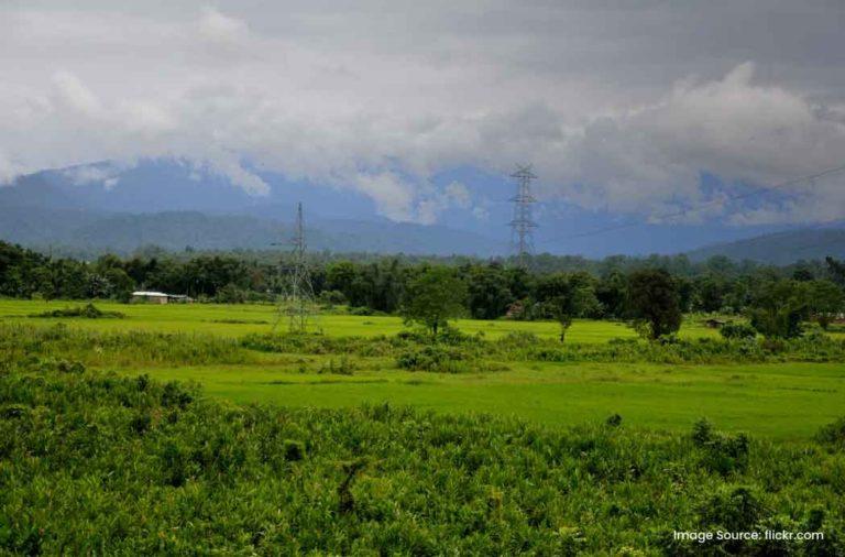 Places to Visit in Assam: Tea Gardens, Wildlife, Islands and Cultural ...