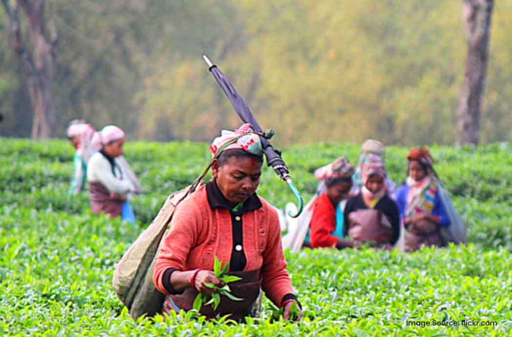 Bihu Festival in Assam: A Symbol of Honour, Gratitude and Unity!